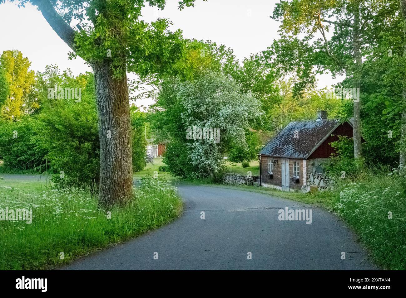 Old house by summer road in Scania, Sweden Stock Photo - Alamy