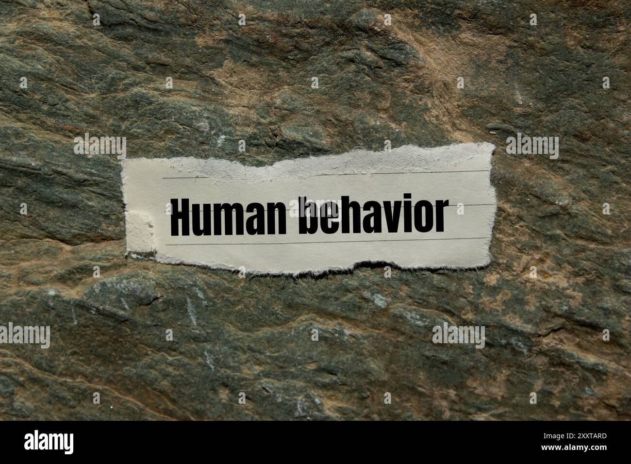 Human behavior message written on ripped torn paper piece on stone background. Conceptual human ...