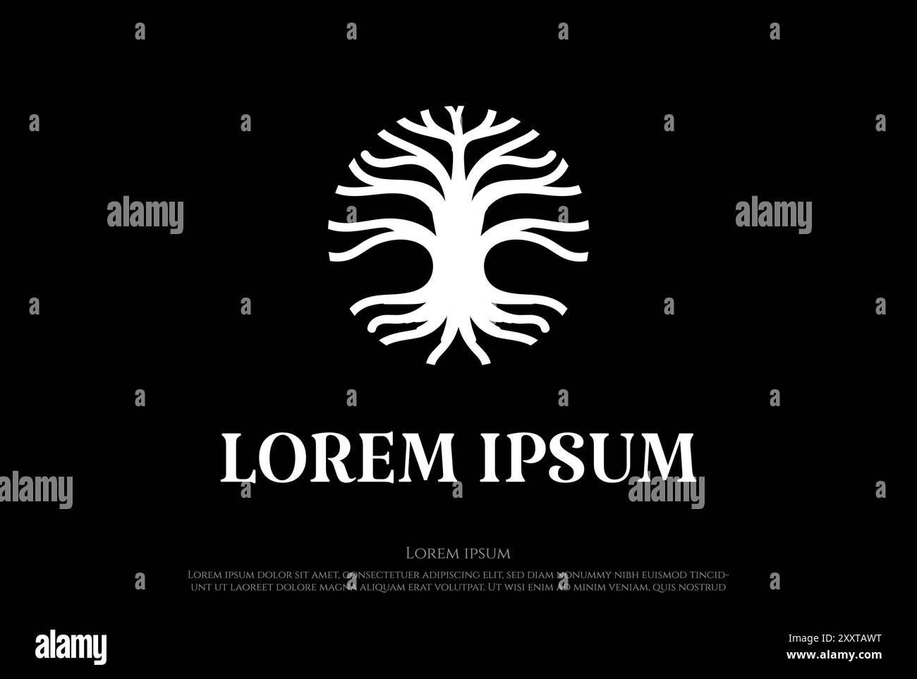 Simple Minimalist Root Oak Banyan Tree Logo Design Vector Stock Vector ...