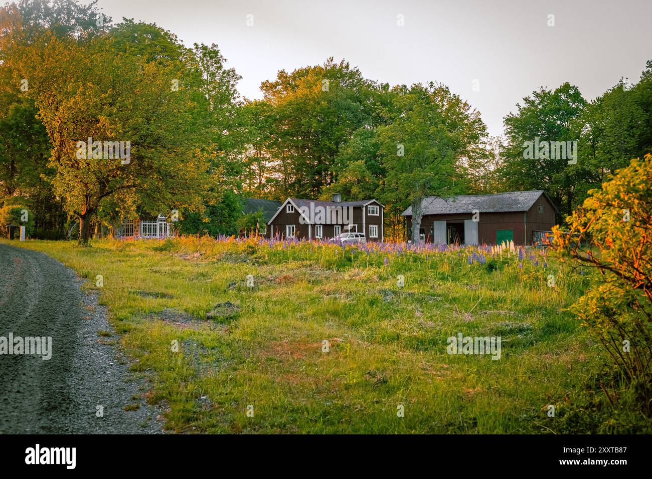 Summer house by country road in Scania, Sweden Stock Photo - Alamy