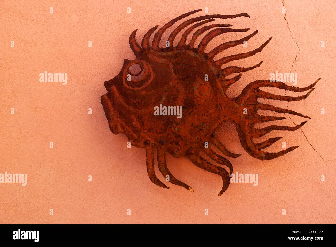 Pink wall background with rusty metal fish Stock Photo - Alamy