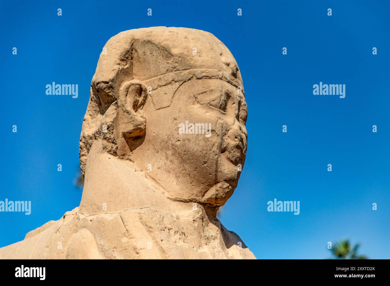 A weathered sphinx head stands tall and proud along Luxor's iconic ...