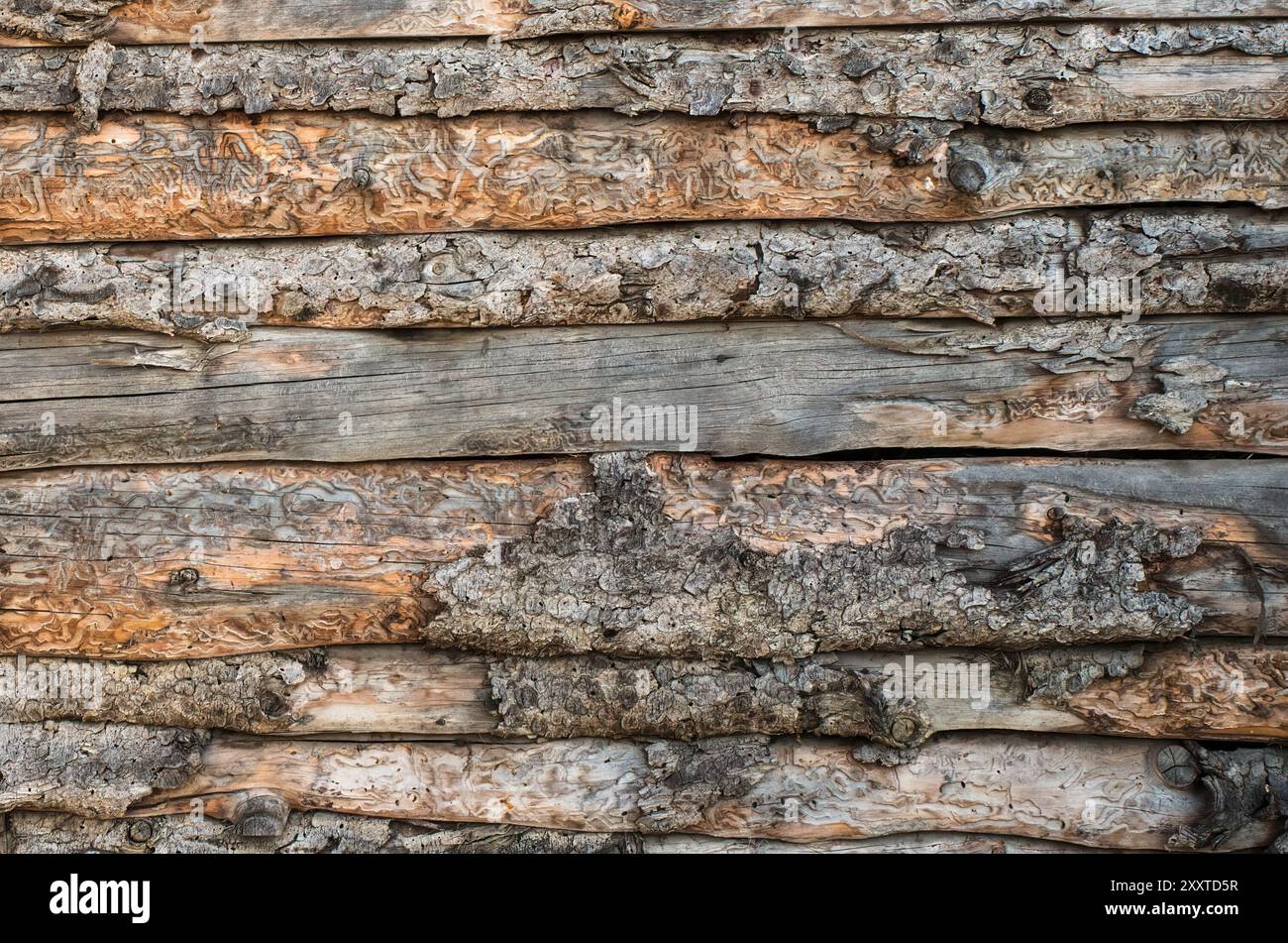 Old wood, boards, cladding with peeling bark. Ornamental texture ...