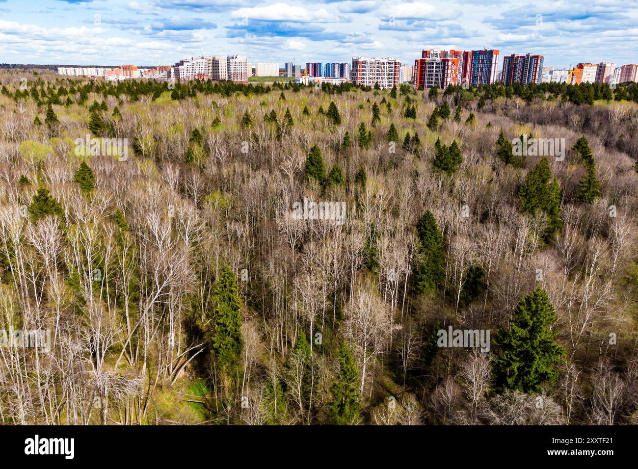 Aerial view of city high-rise buildings sticking out from behind the ...