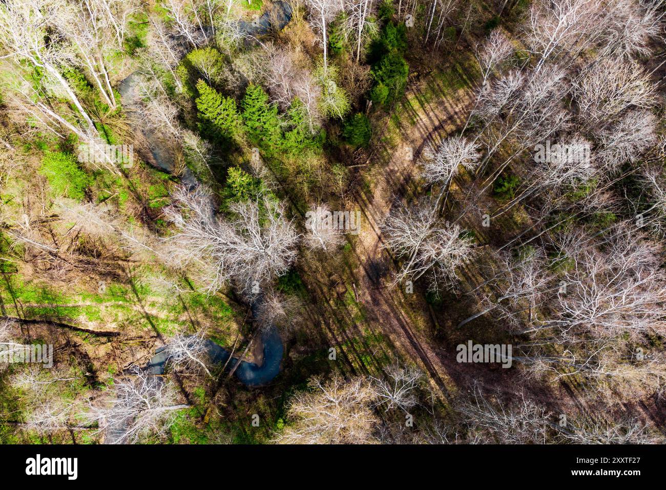 Aerial view of a winding stream bed and a walking path in the forest ...