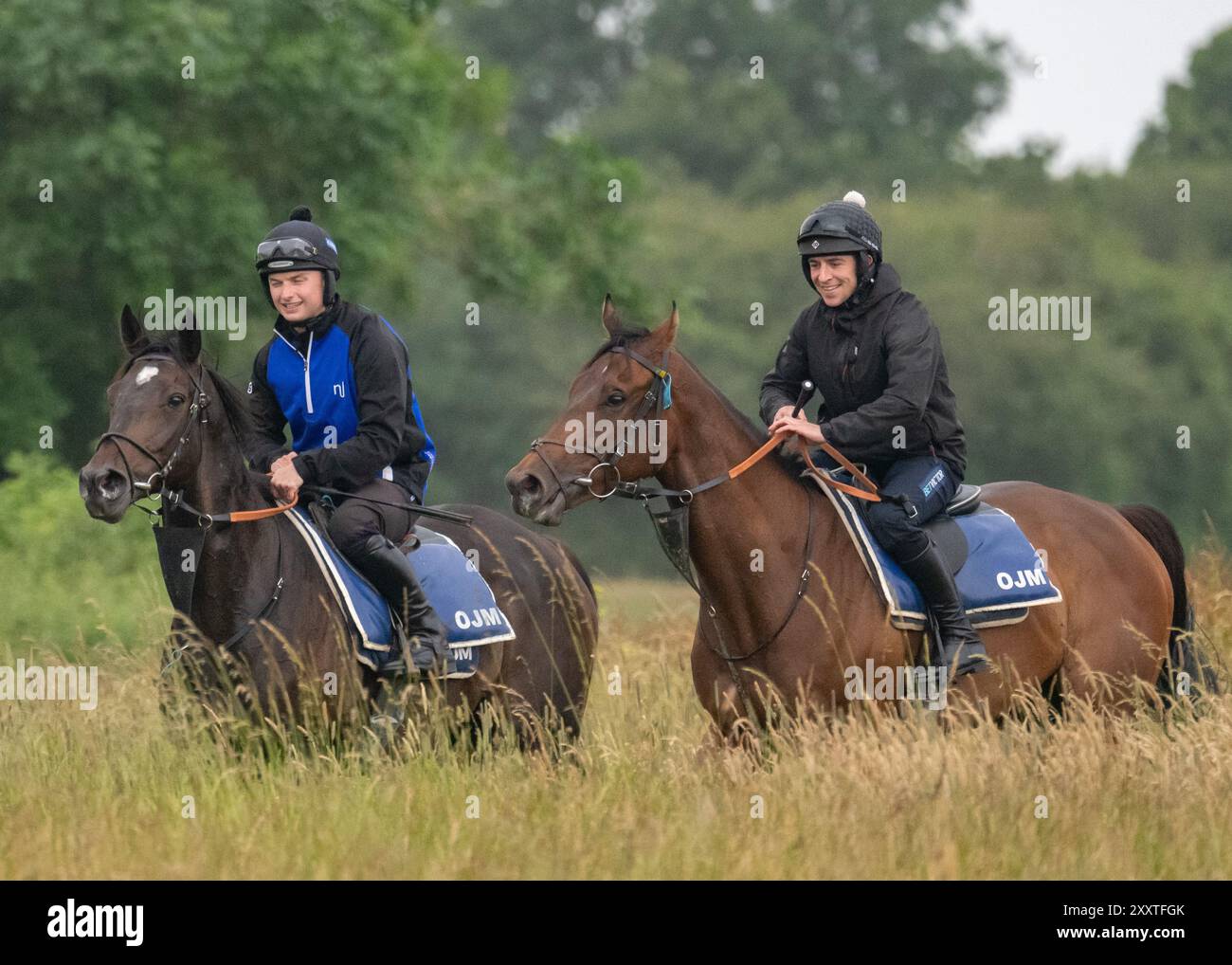 Olly Murphy Racing, Wilmcote, UK Stock Photo - Alamy
