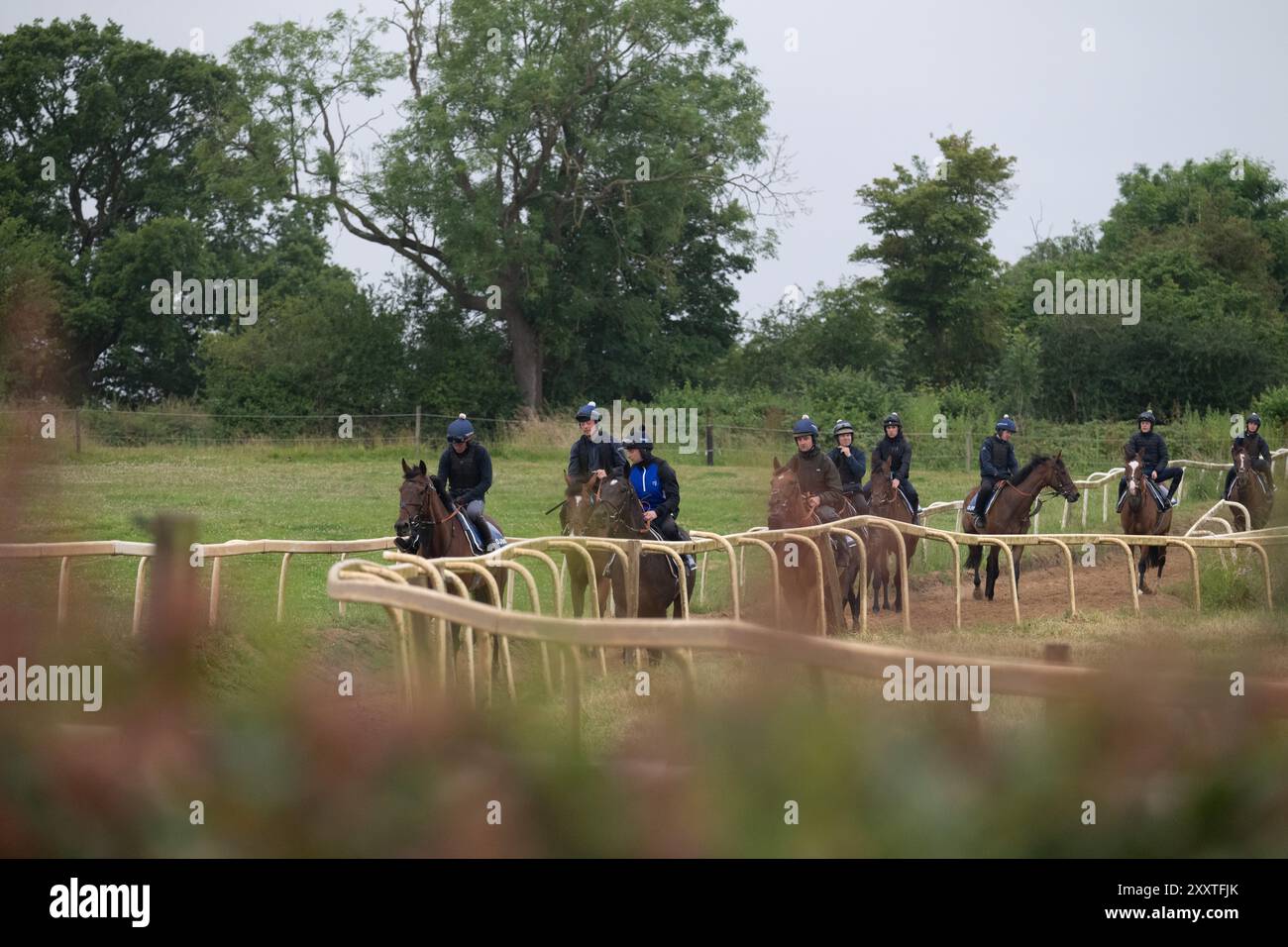 Trainer watching horses hi-res stock photography and images - Alamy