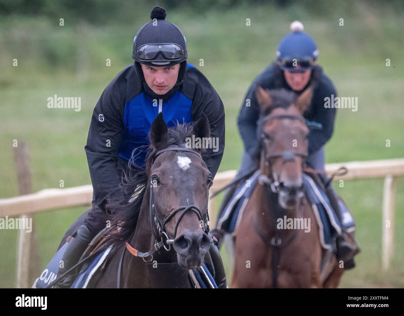 Olly Murphy Racing, Wilmcote, UK Stock Photo - Alamy