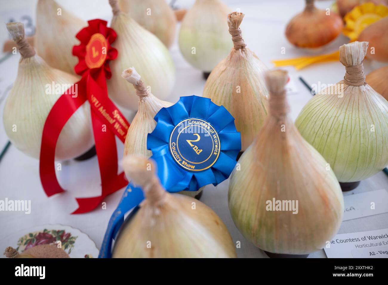 Countess of Warwick Country Show at Little Easton, Essex 26 August 2024 ...