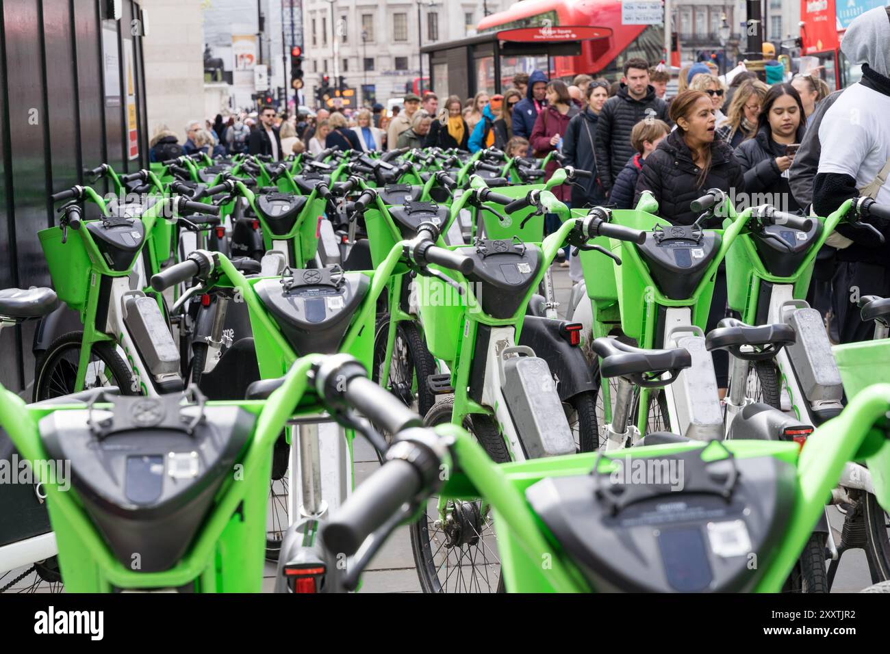 pedestrian walk past masses of rental Lime e-bikes on pavement near ...