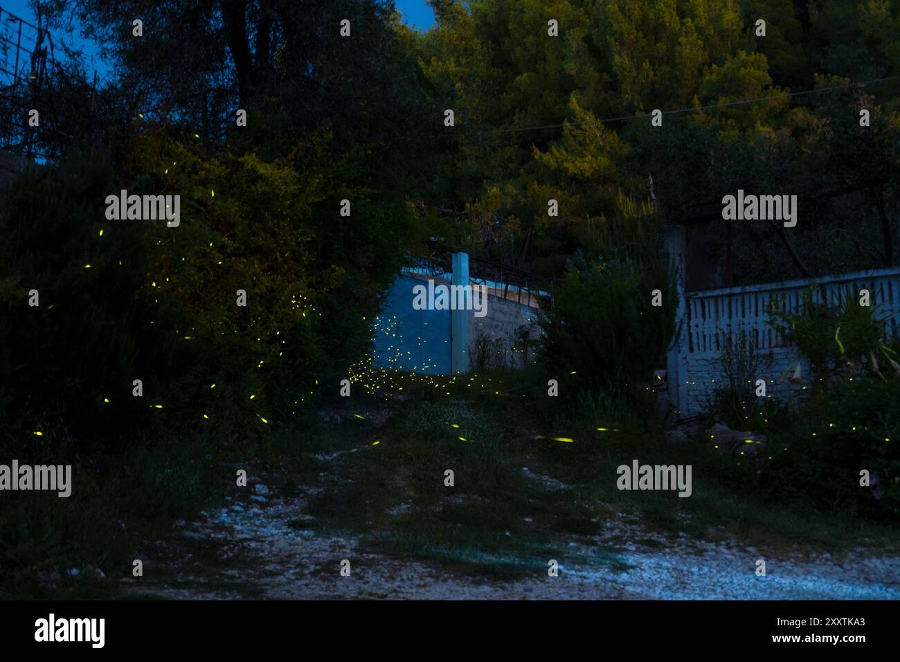 Fluorescent insects hi-res stock photography and images - Alamy