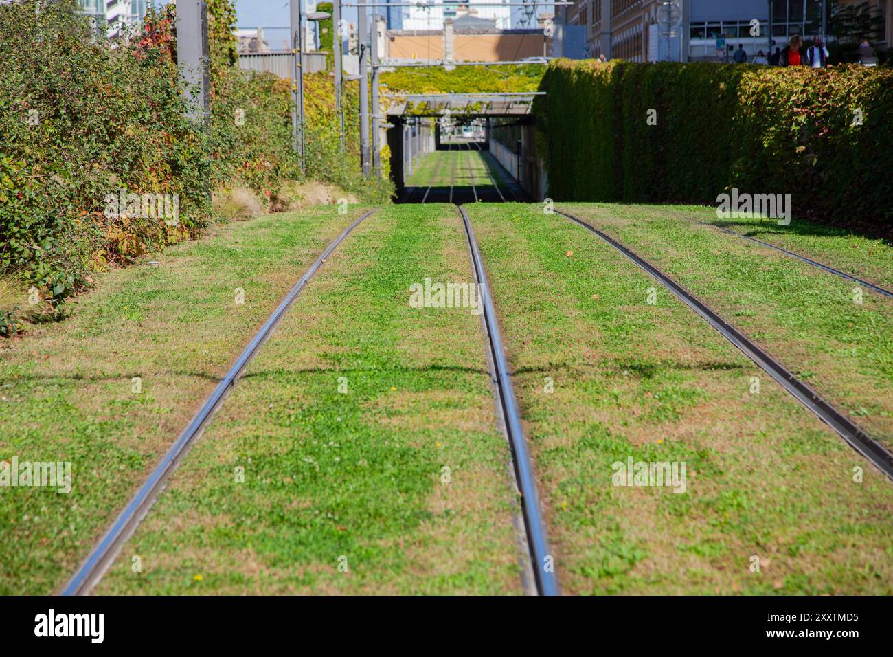 Tram lyon france tramway hi-res stock photography and images - Alamy