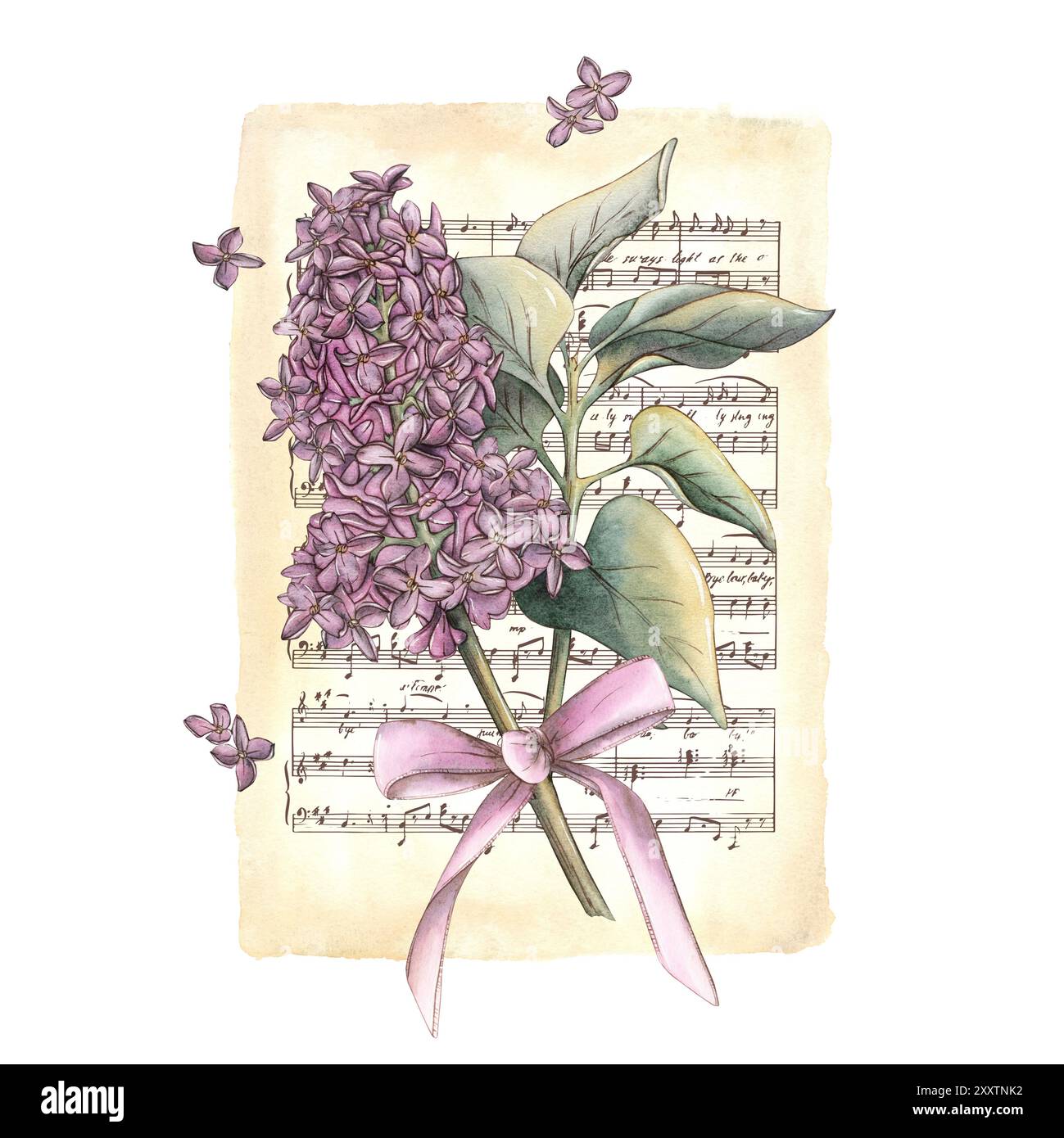 Watercolor branch of lilac with purple flowers, green leaves and a bow ...