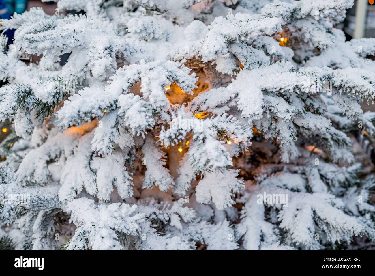 Snowy christmas tree with lights in Stock Photo - Alamy