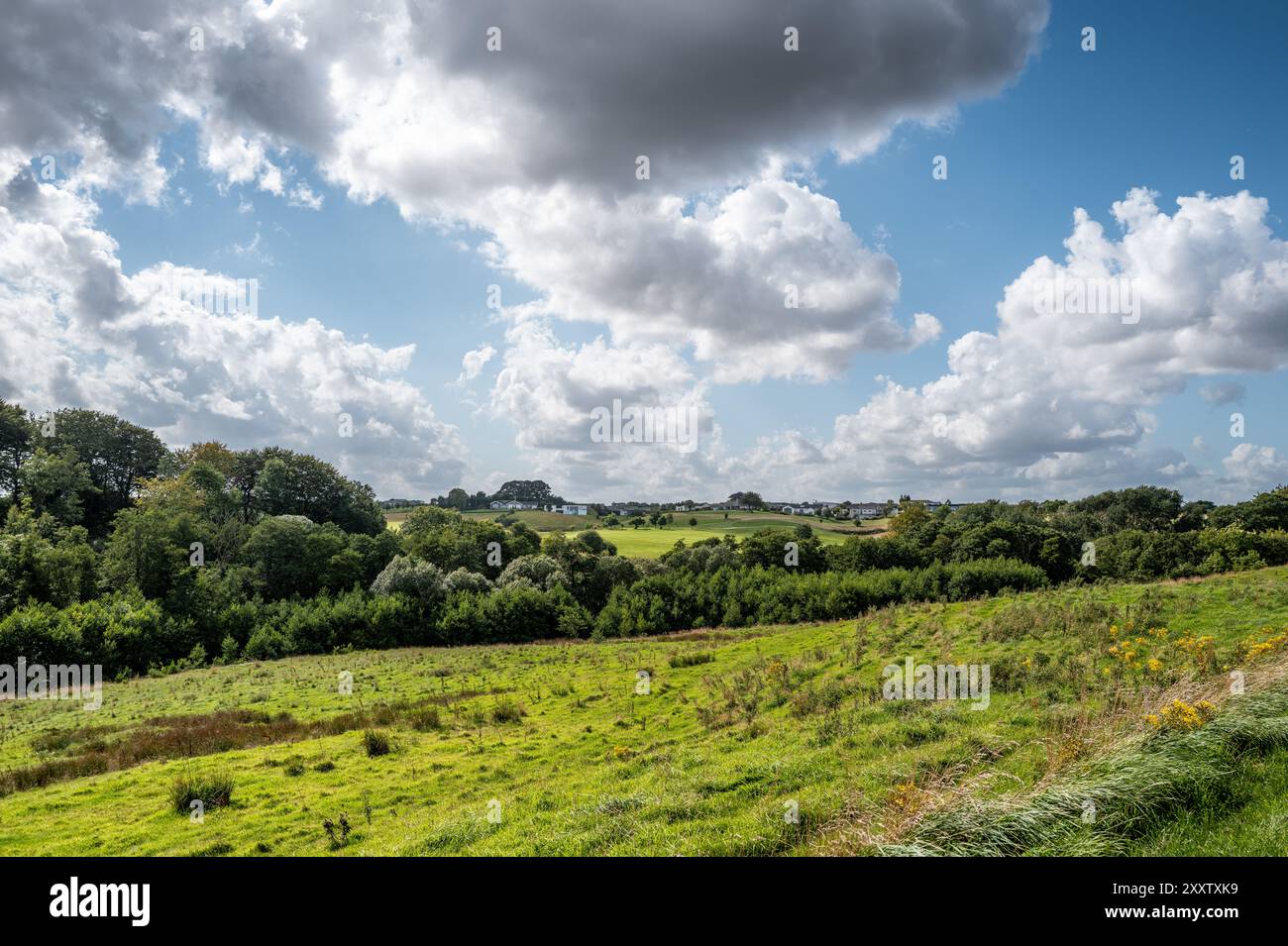 Fields around the city of Hedensted in Jutland, Denmark Stock Photo - Alamy