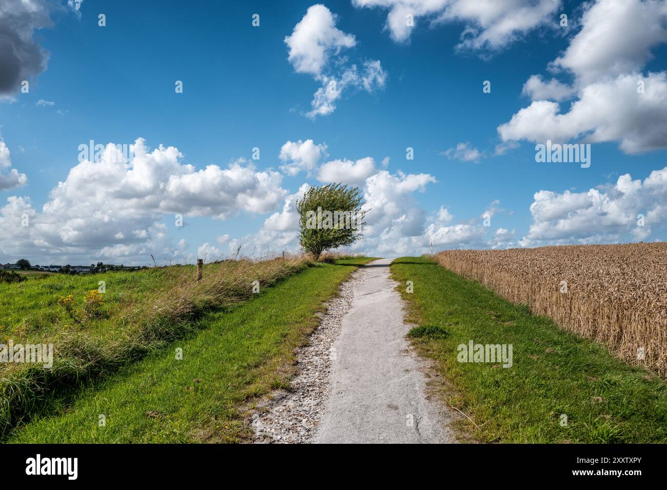 Fields around the city of Hedensted in Jutland, Denmark Stock Photo - Alamy