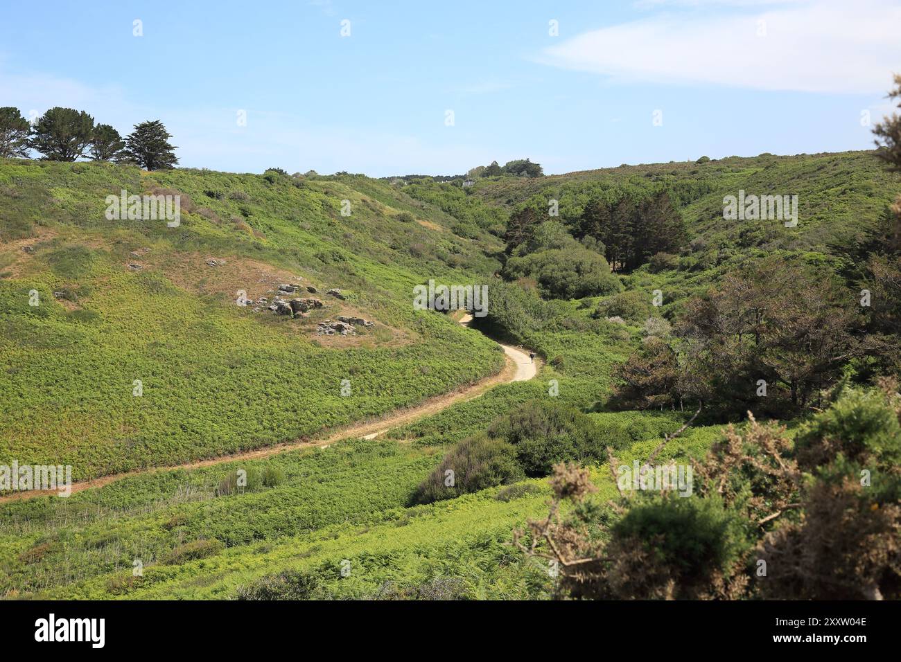 Landscape and track down to Plage d'Herlin, Belle Ile en Mer, Brittany ...