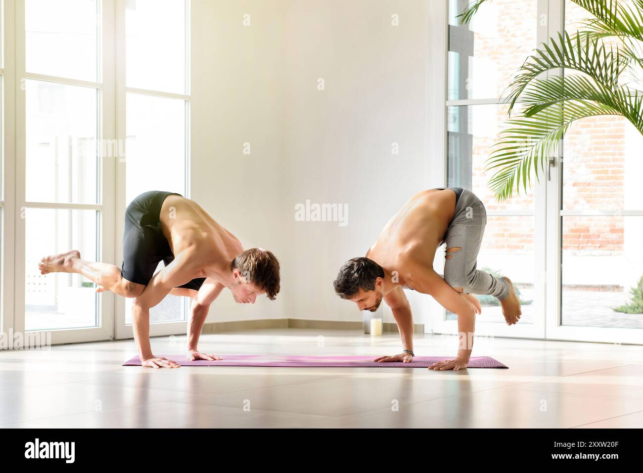 Yoga Poses For Beginners Print Yoga Pose 4' Art Print Jesse Keith