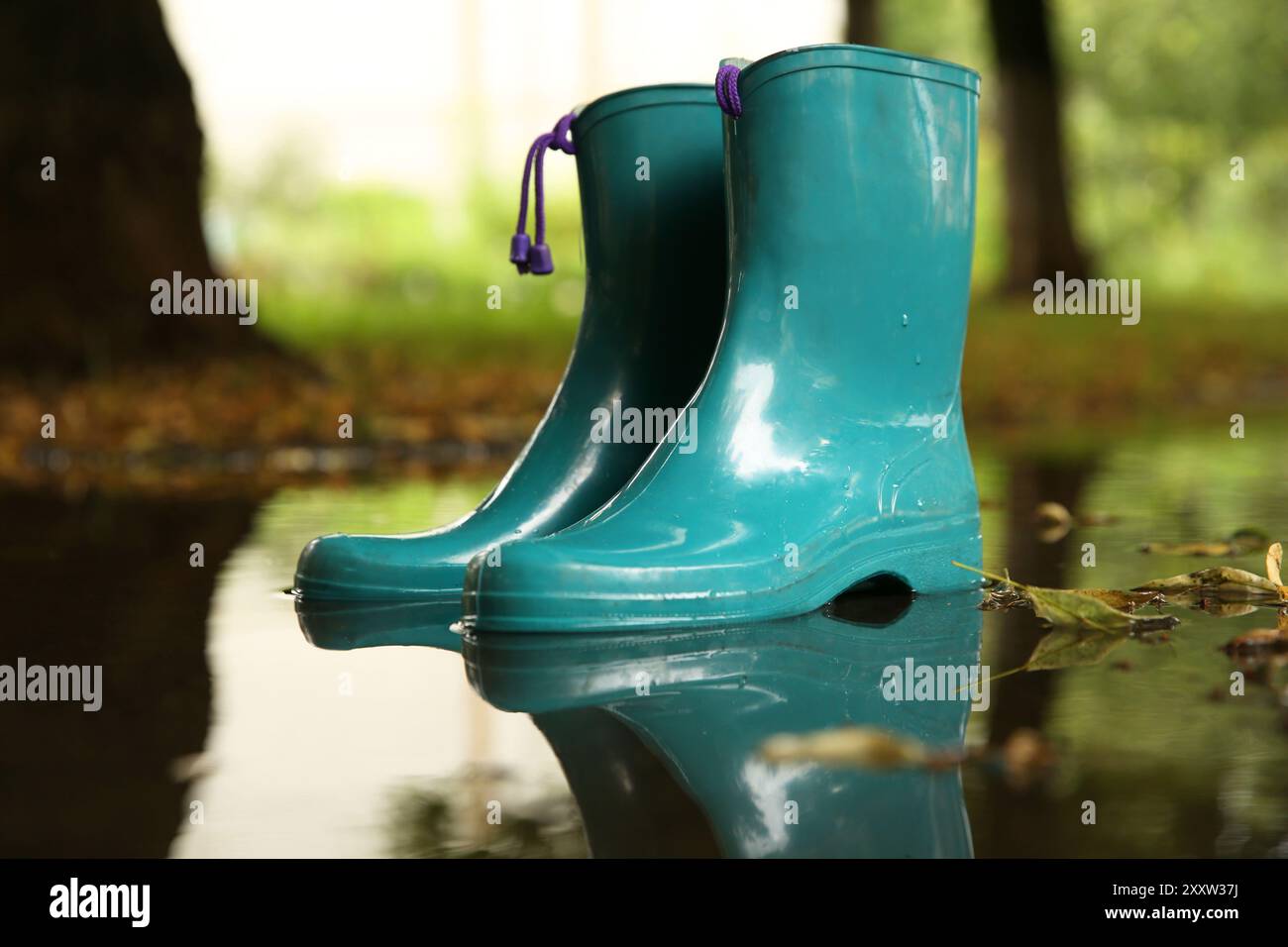 Pair of colorful rubber boots in puddle outdoors Stock Photo - Alamy