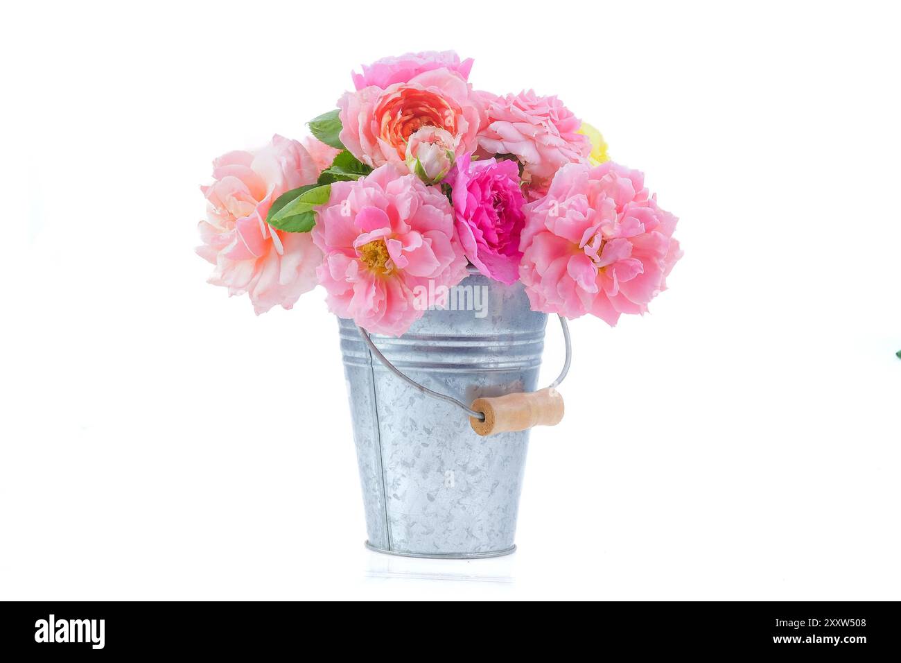 Bucket roses Cut Out Stock Images & Pictures - Alamy