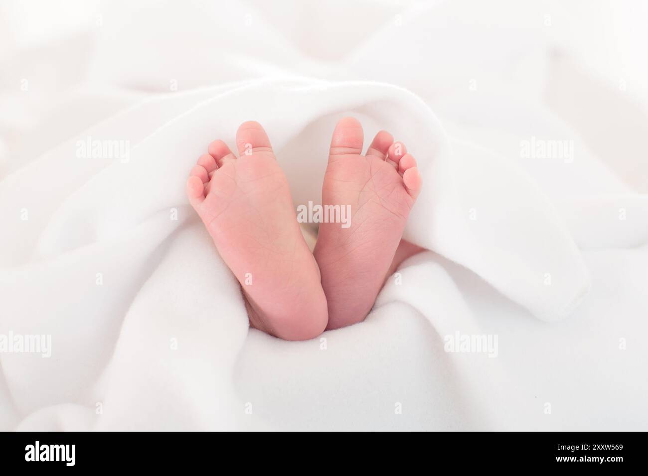 Newborn baby in hospital room. Close up of baby feet. New born child in ...