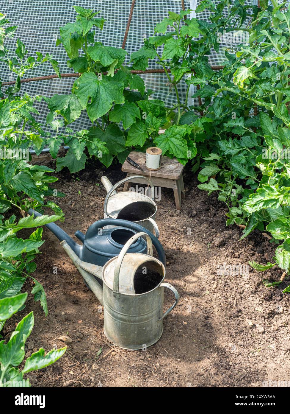 Poly tunnel interior Stock Photo - Alamy
