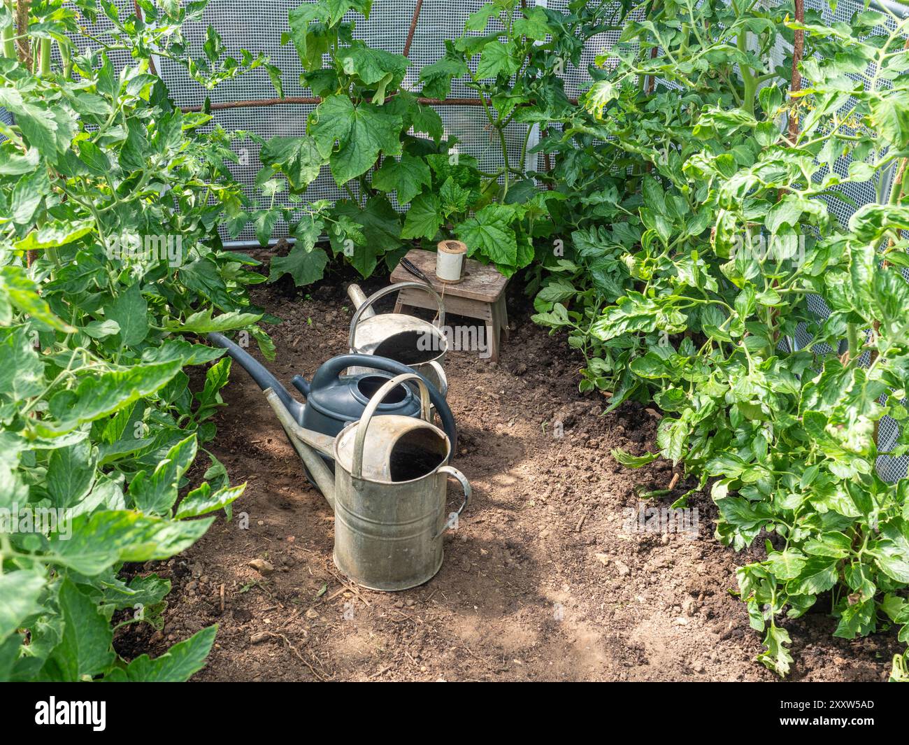 Inside poly tunnel hi-res stock photography and images - Alamy