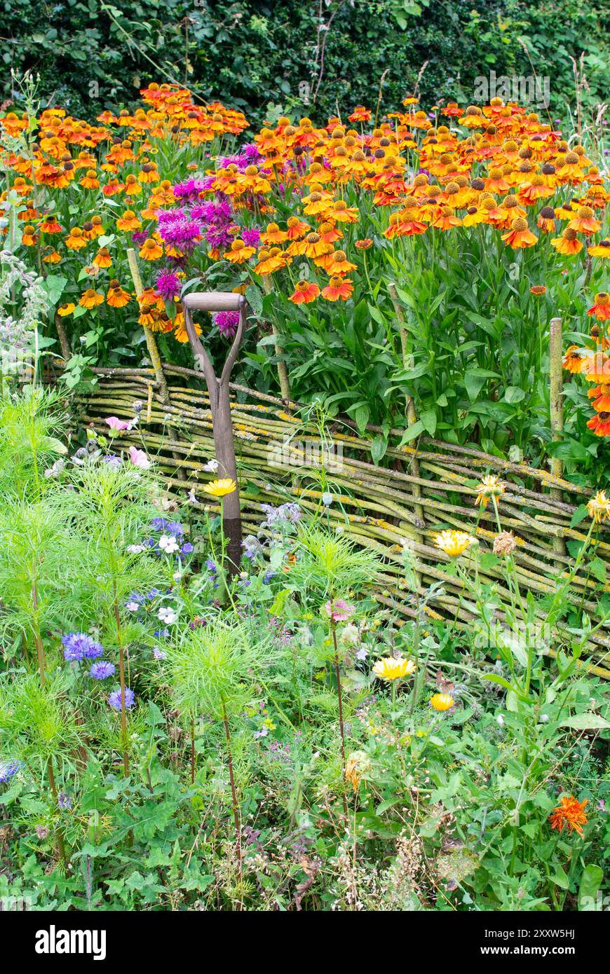 Rustic flower border held back by Hazel weave hurdle Stock Photo - Alamy