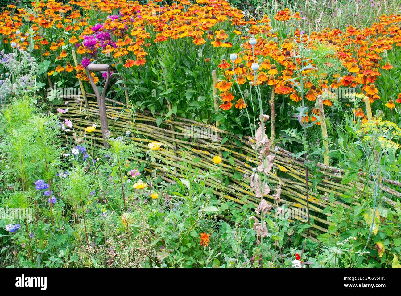 Rustic Flower Border