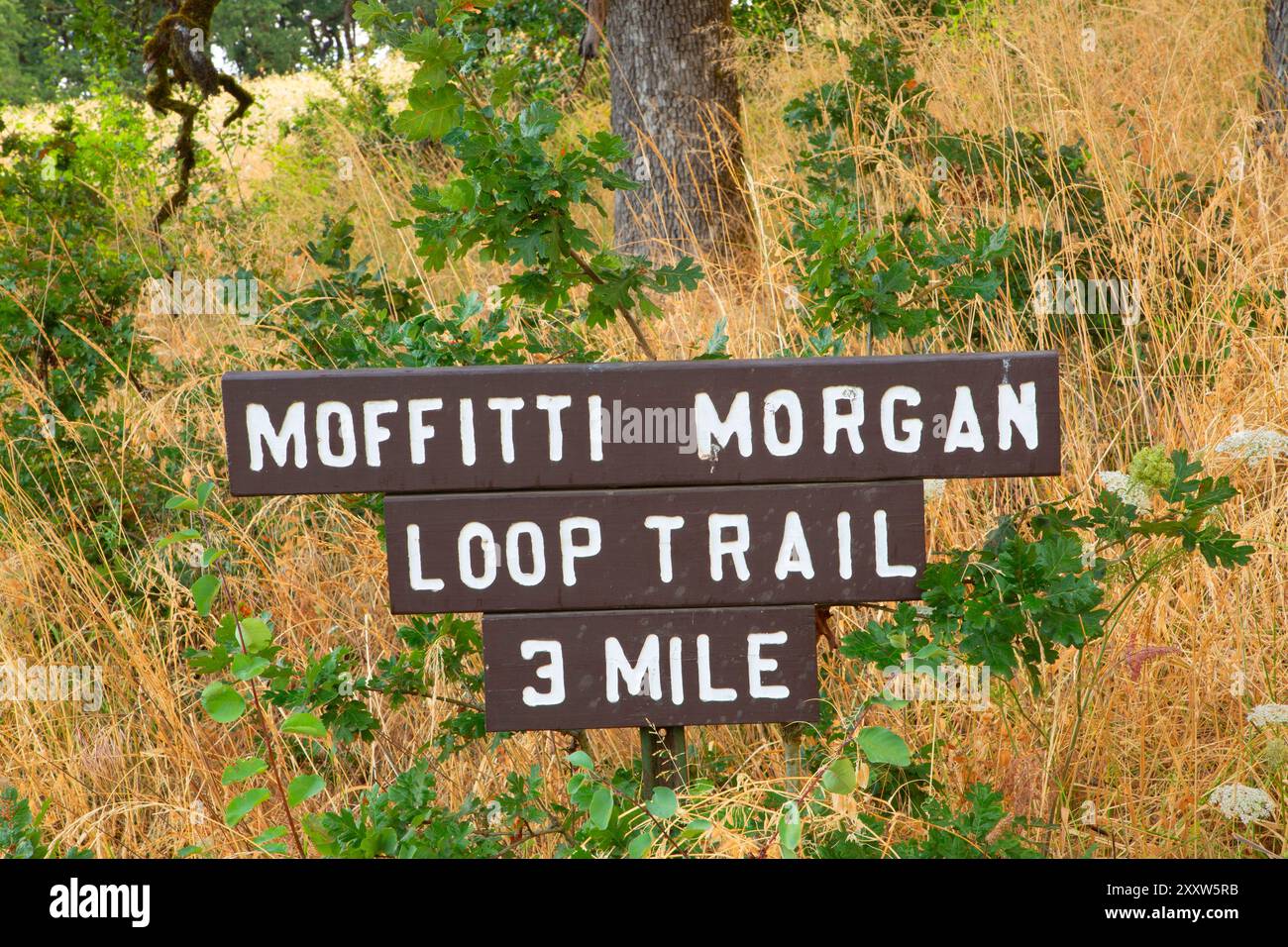 Moffitti morgan loop trail hi-res stock photography and images - Alamy