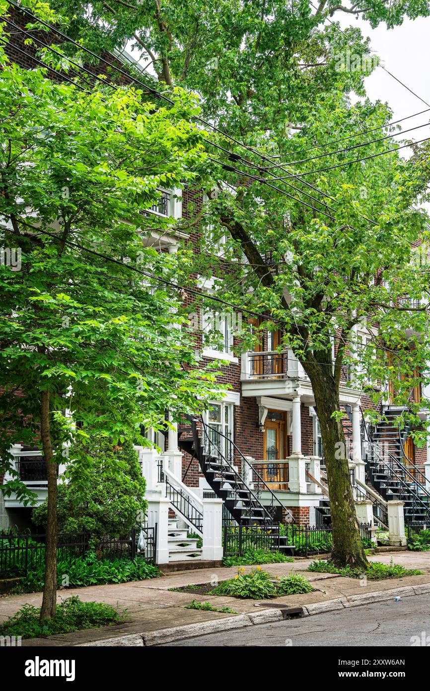 Plateau Mont Royal District, Montreal, Quebec Stock Photo - Alamy