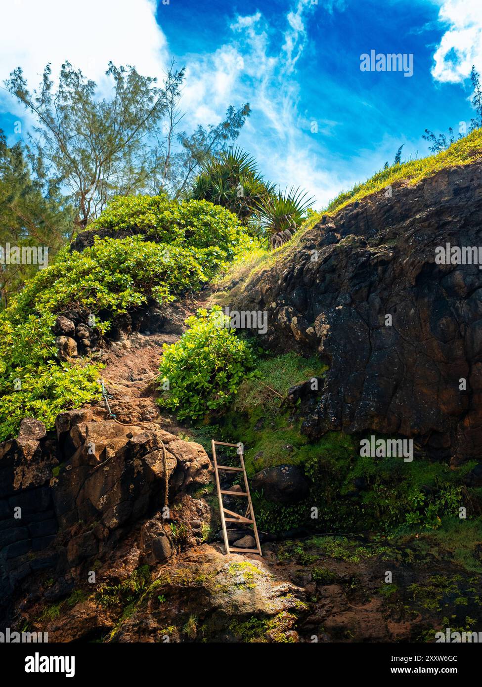 Scenic outdoor path with clear sky hi-res stock photography and images ...