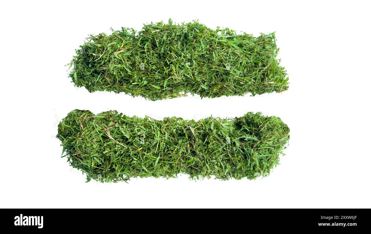 Equal Sign Crafted From Grass Clippings Precisely Clipped With