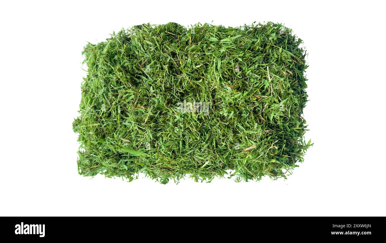 Cut out grass clippings from a lawnmower, set against a white ...