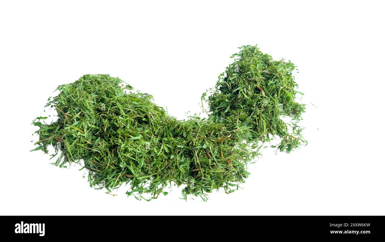Cut out grass clippings from a lawnmower, set against a white ...