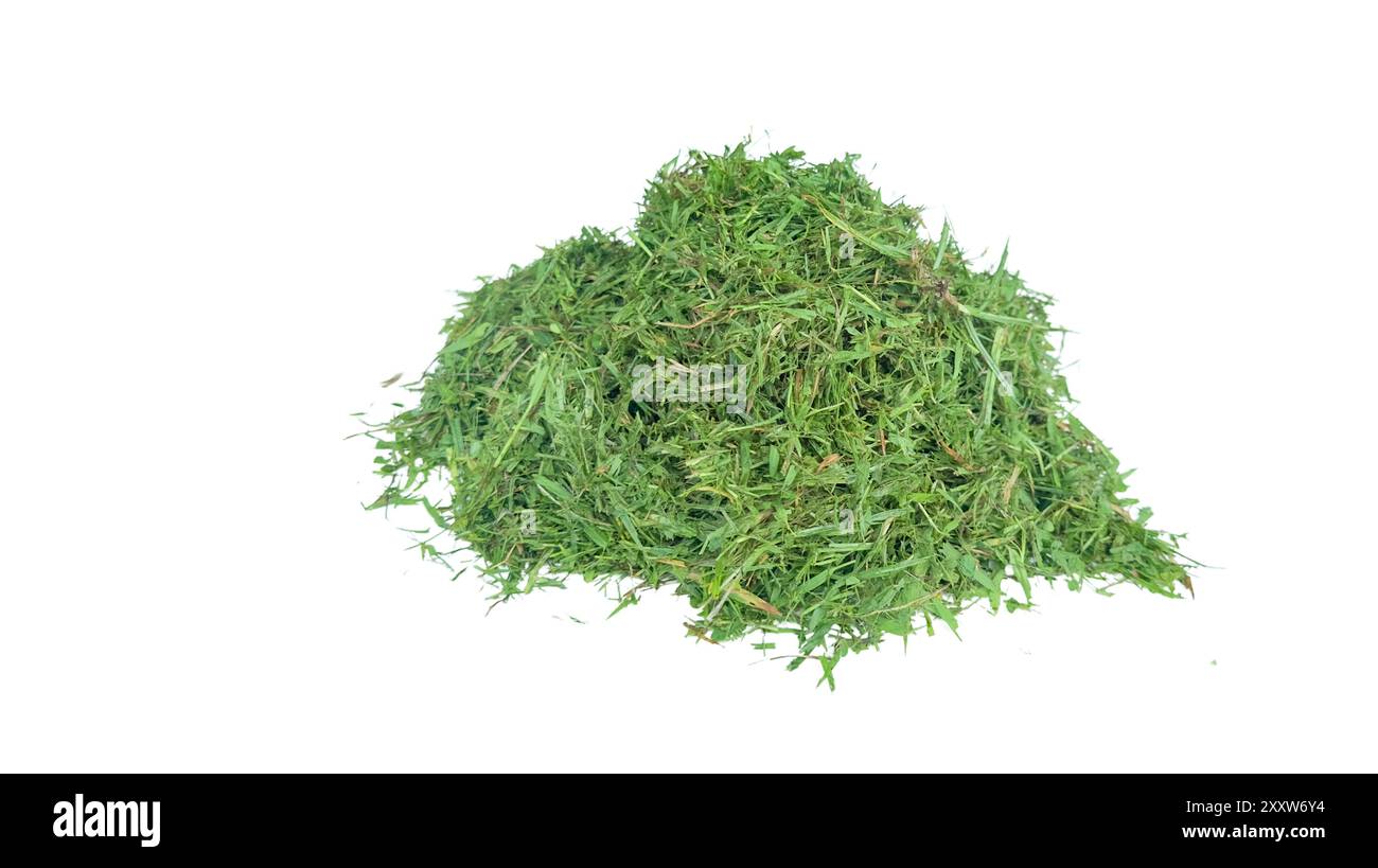 Cut out grass clippings from a lawnmower, set against a white ...