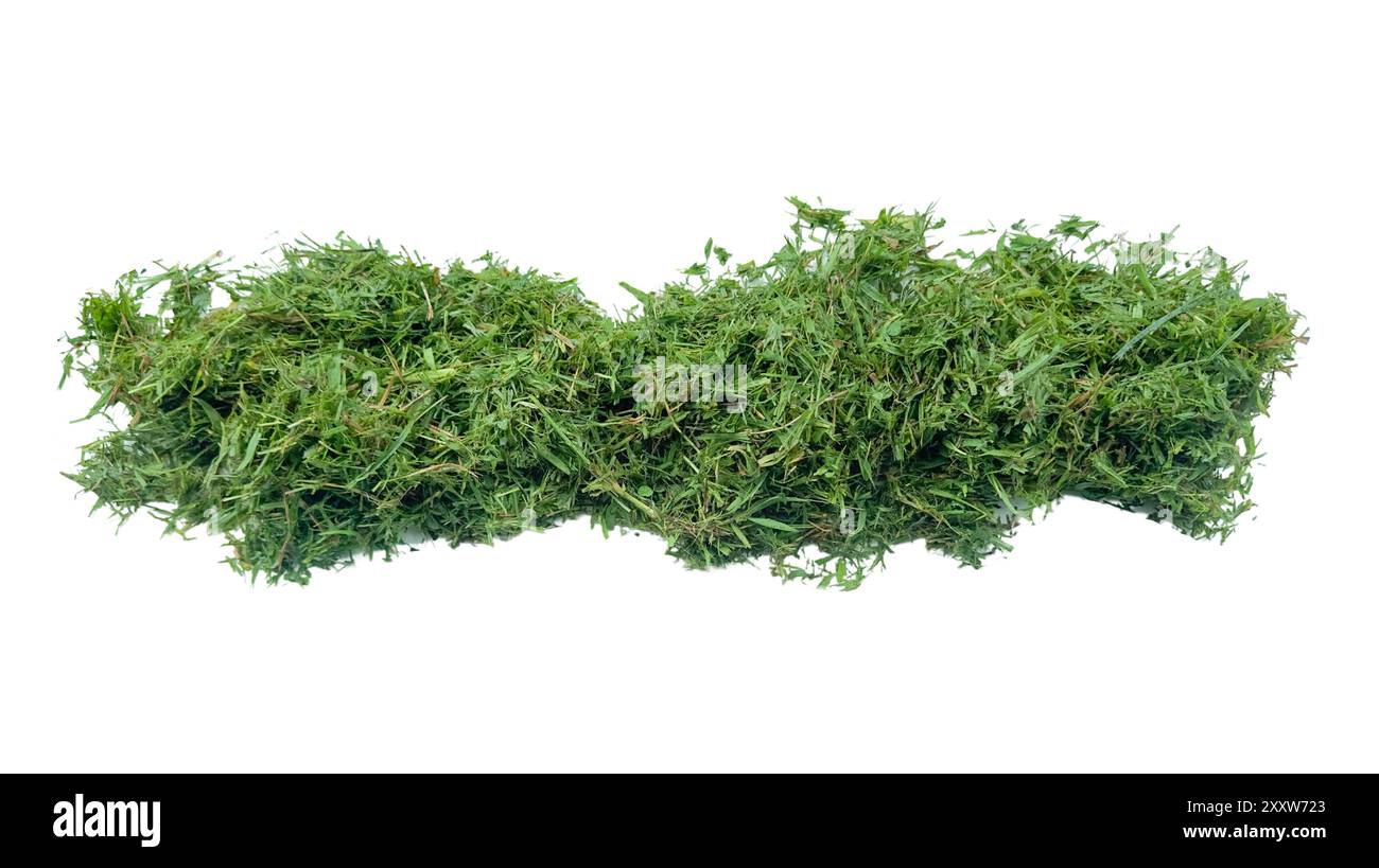 Cut out grass clippings from a lawnmower, set against a white ...