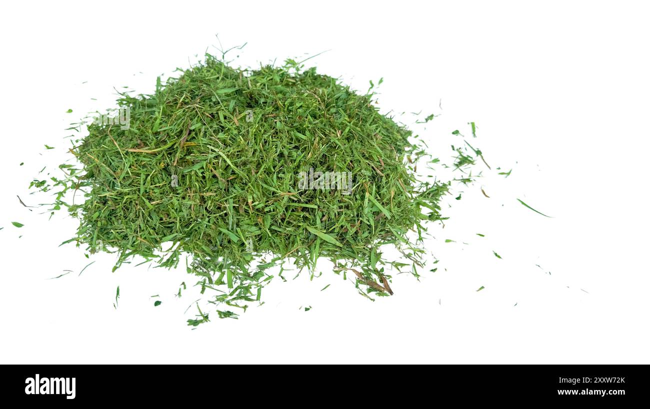 Cut out grass clippings from a lawnmower, set against a white ...