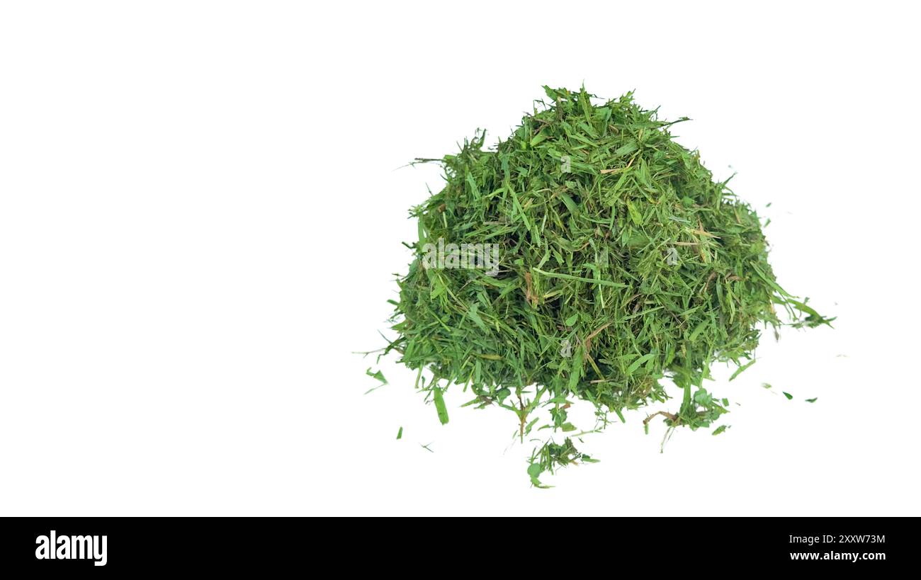 Cut out grass clippings from a lawnmower, set against a white ...