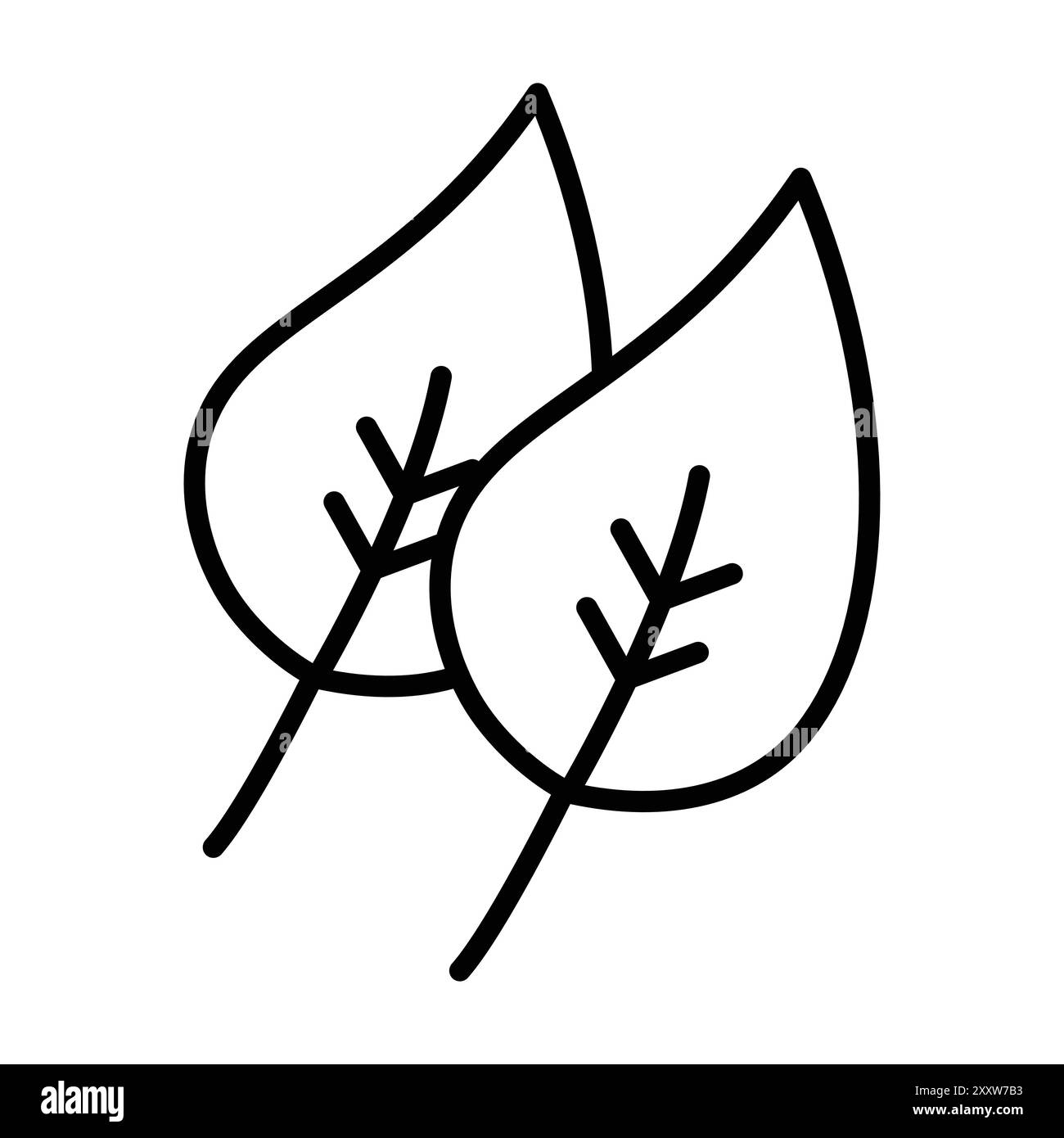 spinach icon Flat set in black and white color outline vector Stock ...