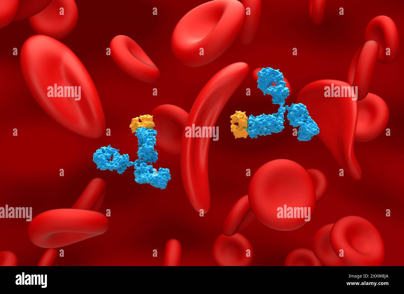 Monoclonal antibody therapy in Sickle cell anaemia - closeup view 3d ...