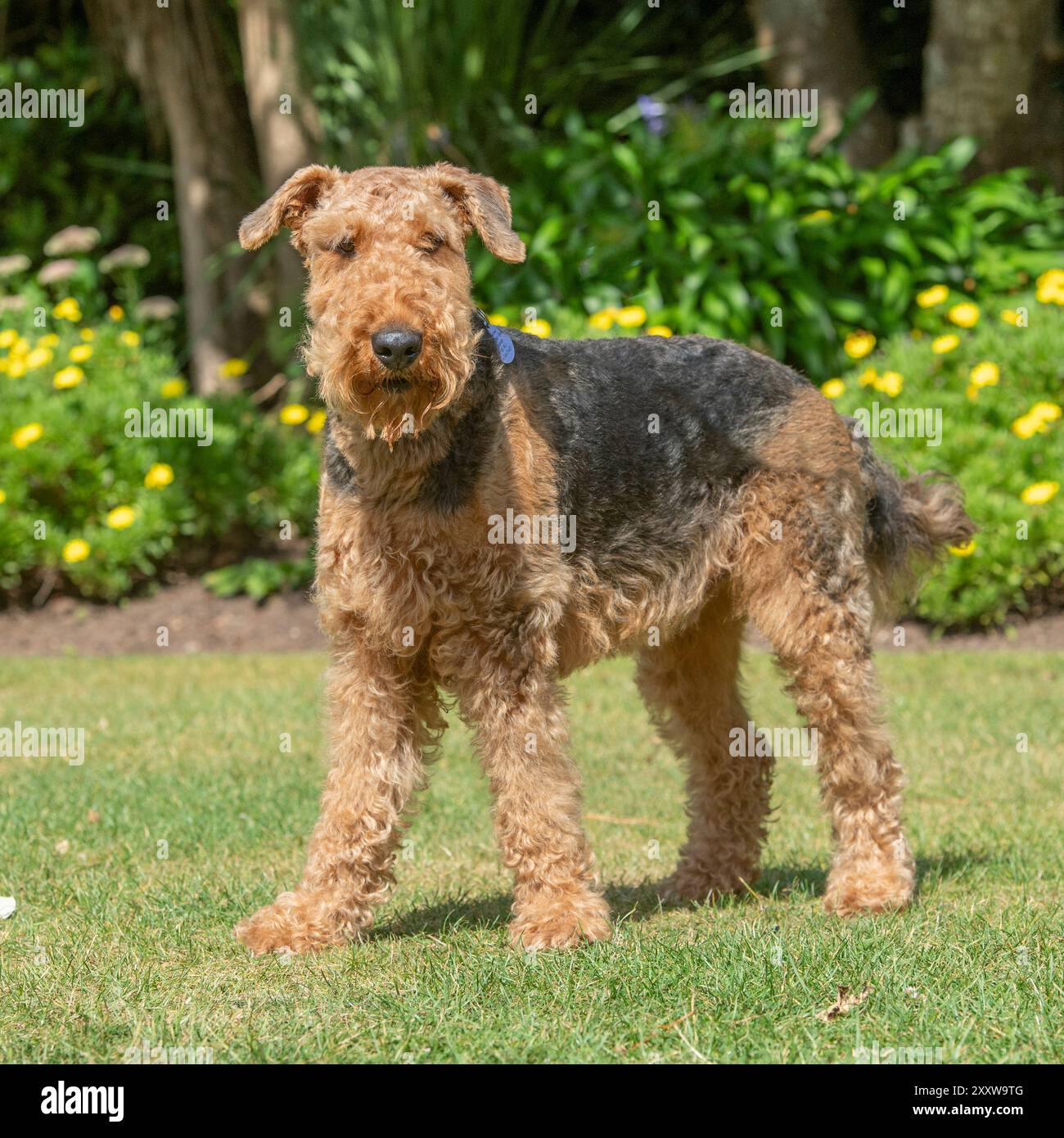 Standing natural hi-res stock photography and images - Alamy