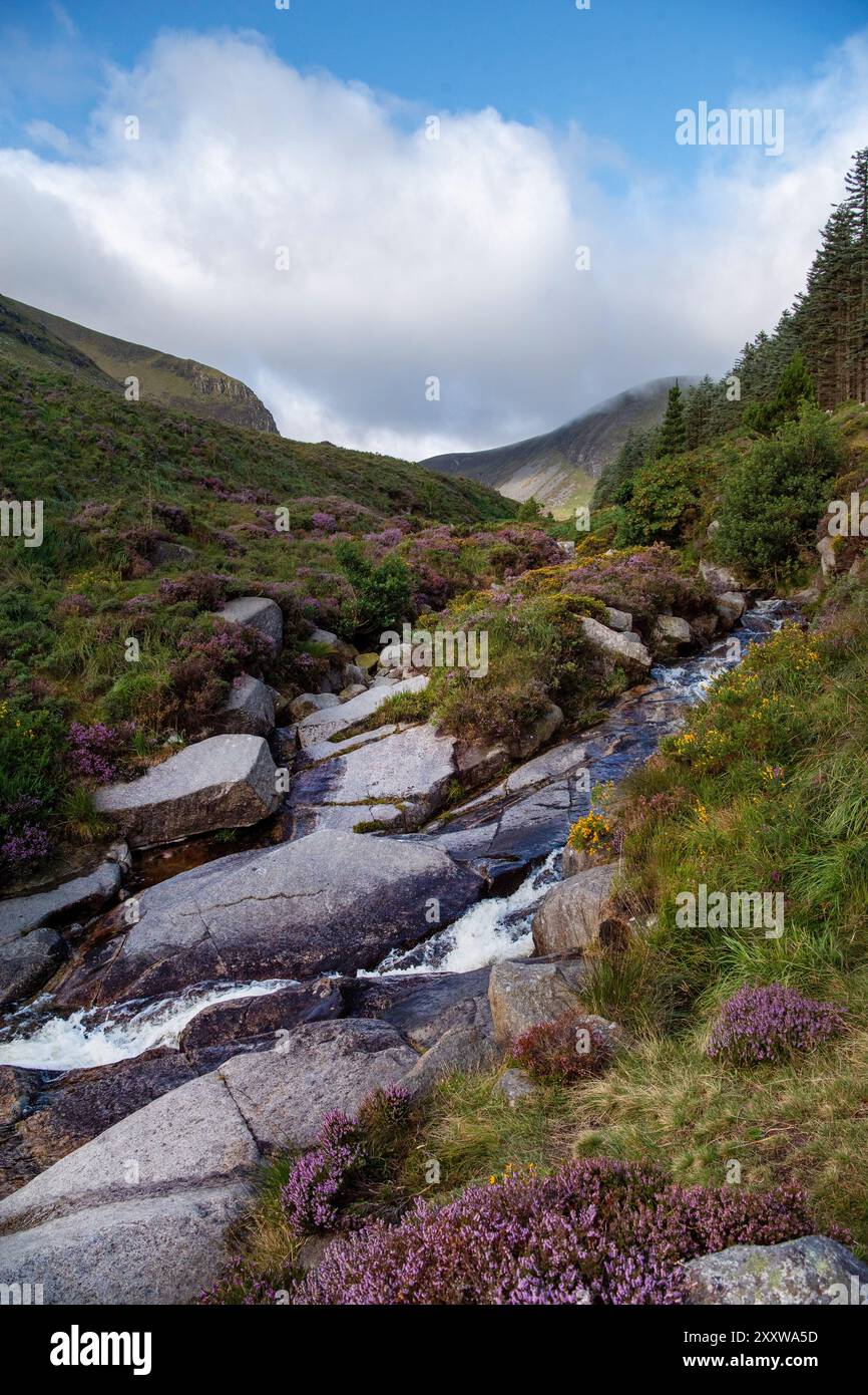 Glen river mourne ireland hi-res stock photography and images - Alamy