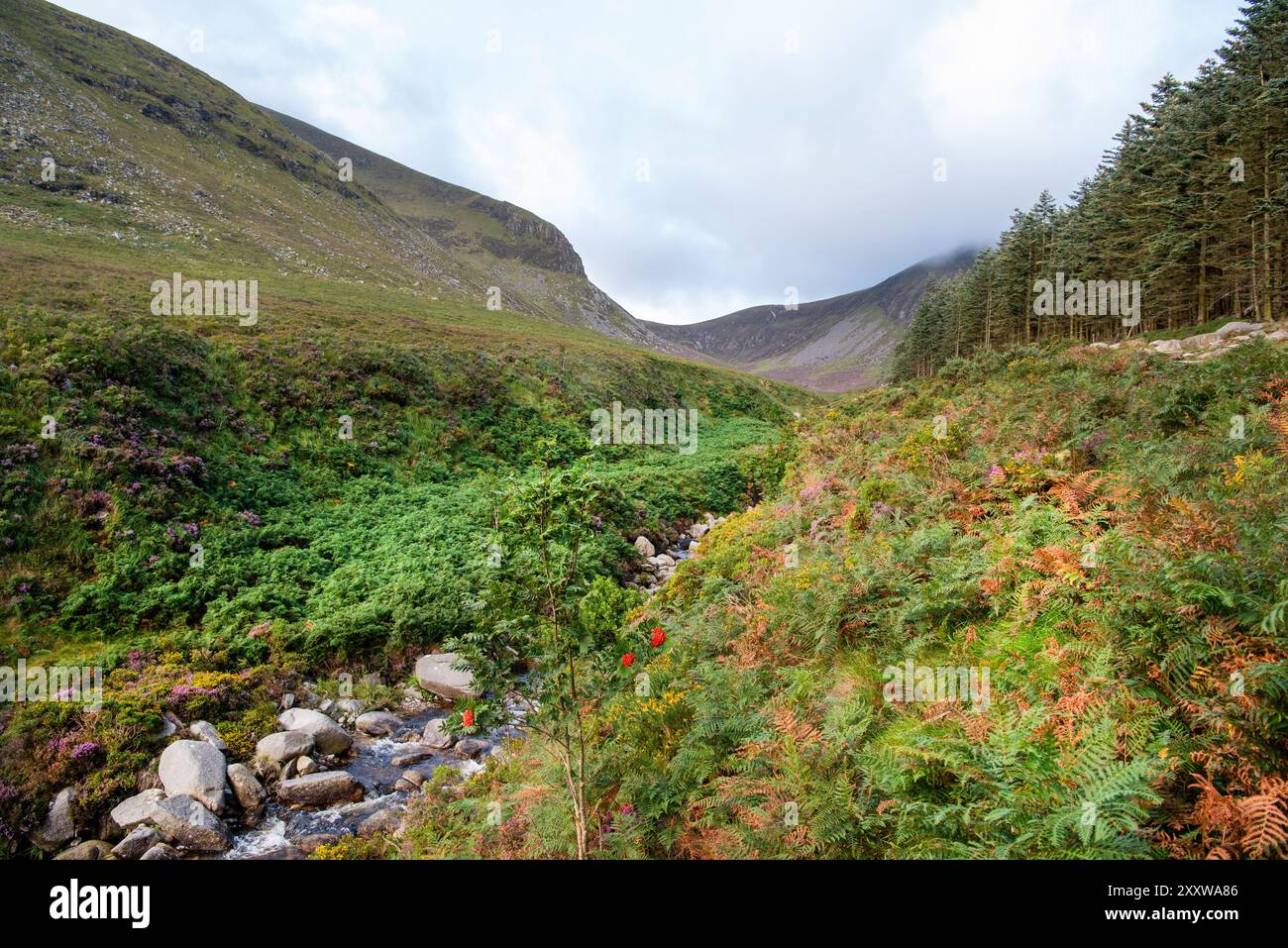 Mourne area of outstanding natural beauty hi-res stock photography and ...