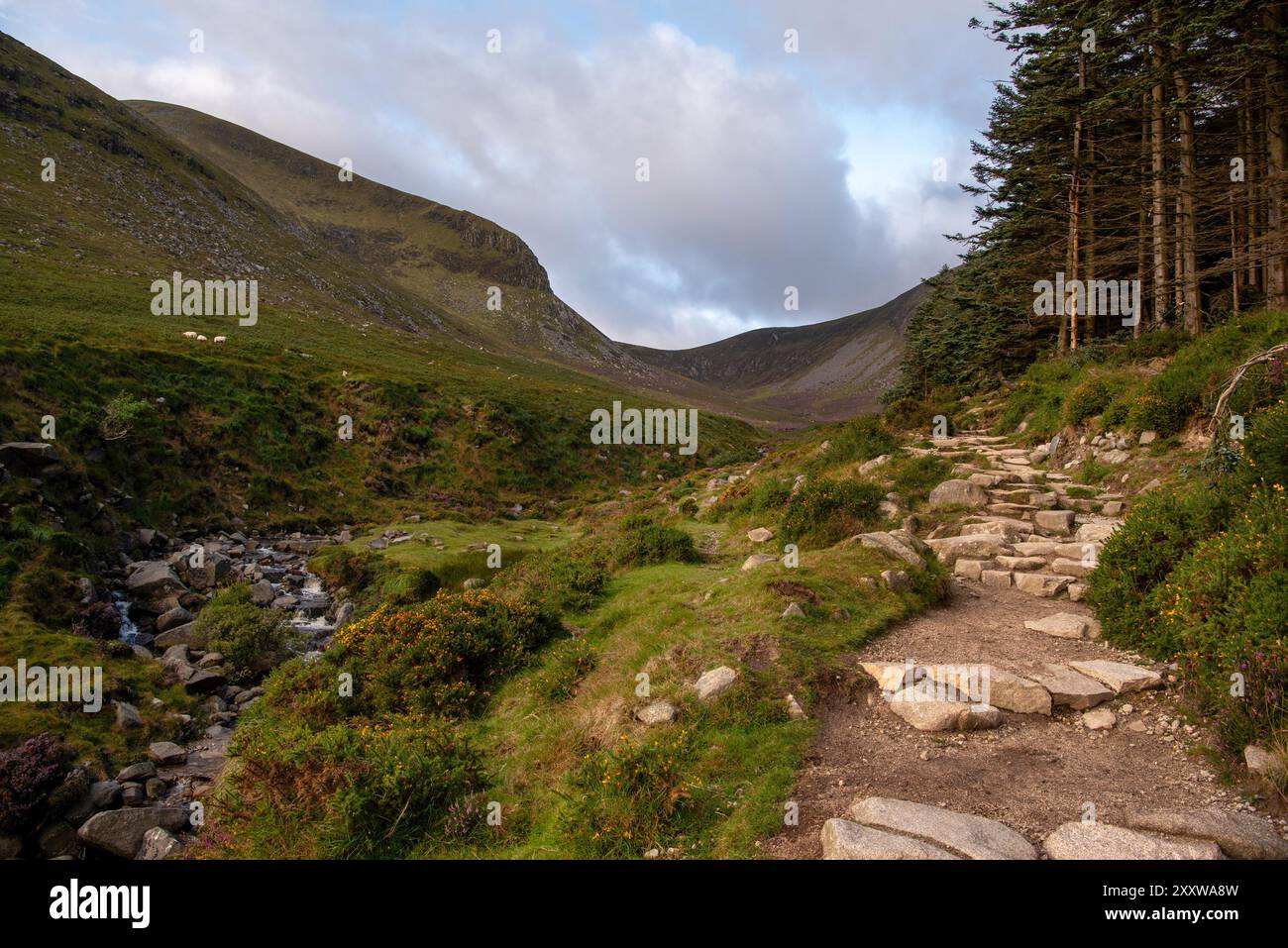 Donard lodge hi-res stock photography and images - Alamy