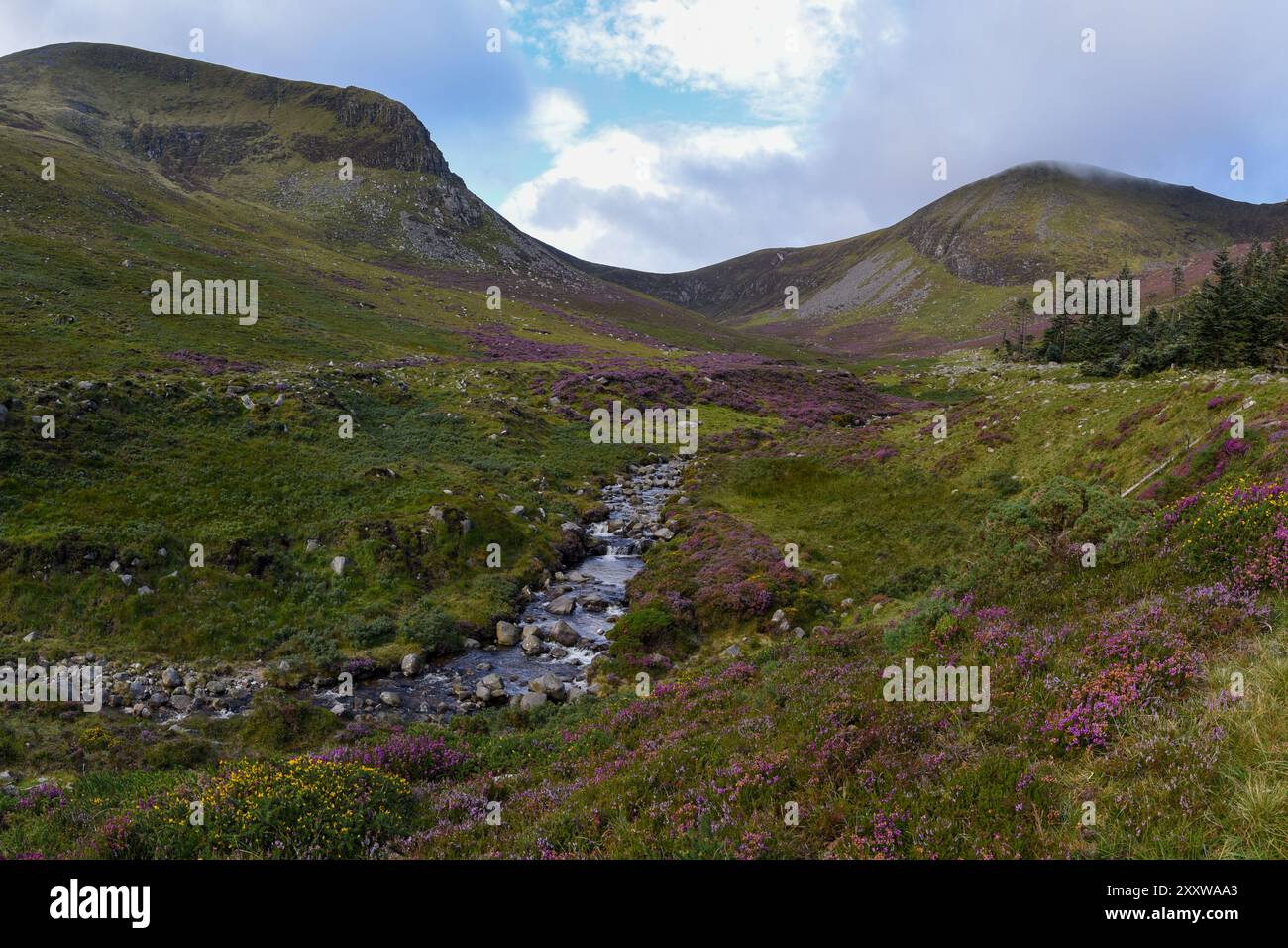 Mourne area of outstanding natural beauty hi-res stock photography and ...