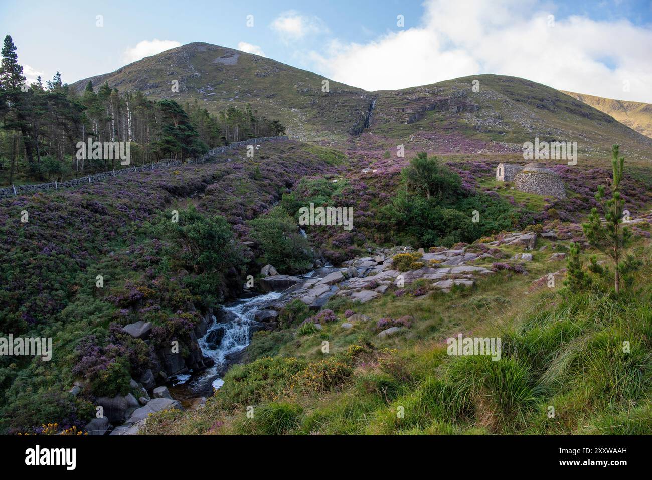 Mourne area of outstanding natural beauty hi-res stock photography and ...