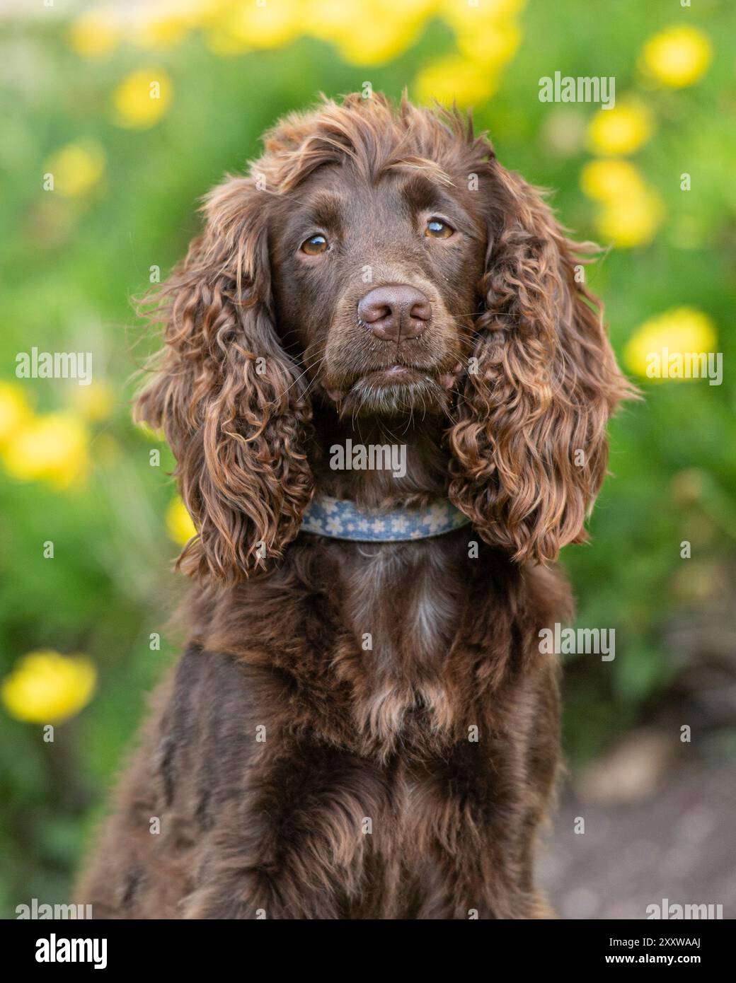 Working sit hi-res stock photography and images - Alamy