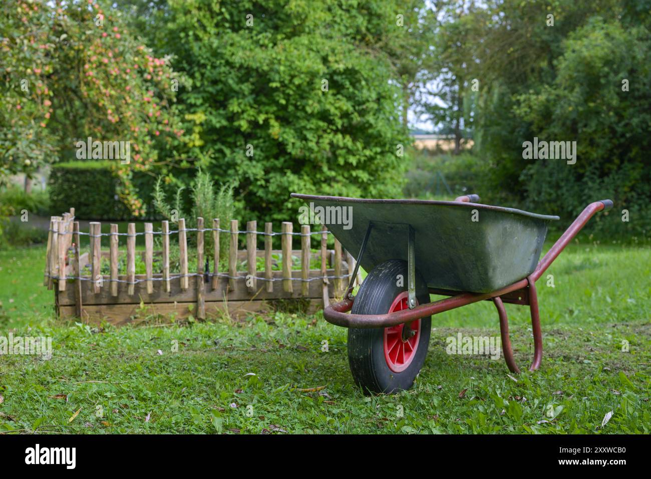 Wheelbarrow vegetable garden gardening hi-res stock photography and ...