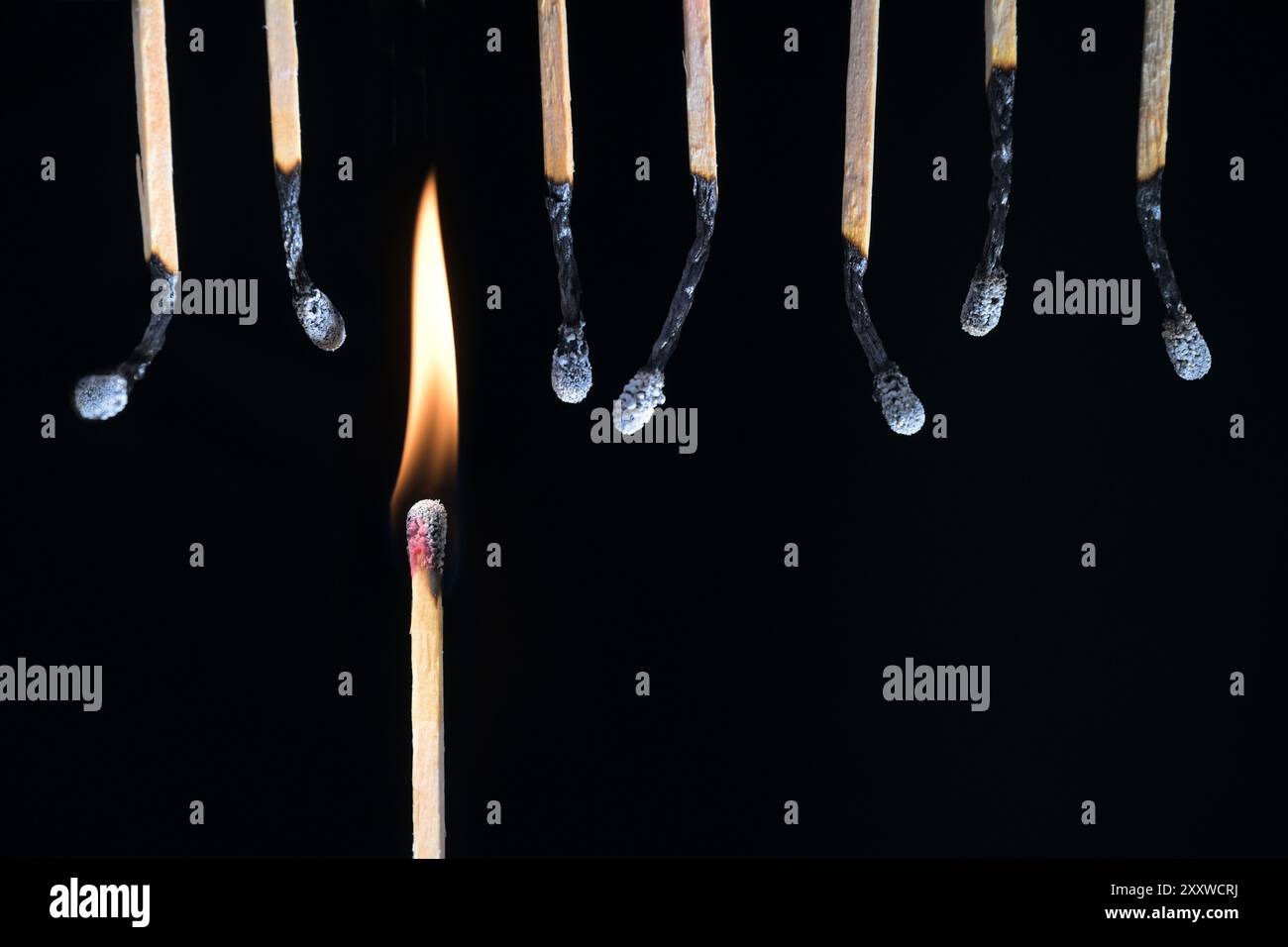 Burning match with a flame between a row of burnt matches hanging ...